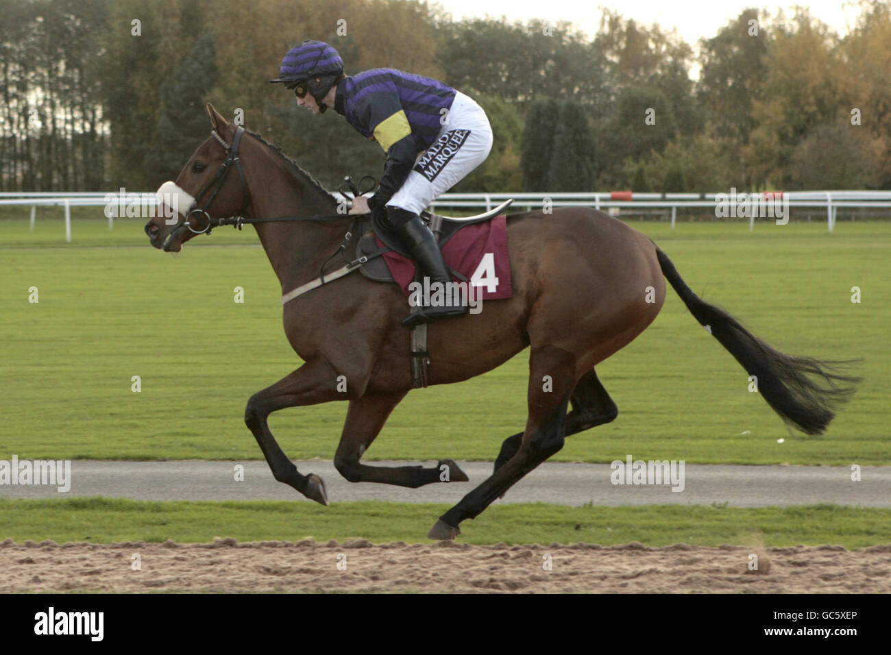 Horse Racing - Haydock Park Stock Photo - Alamy