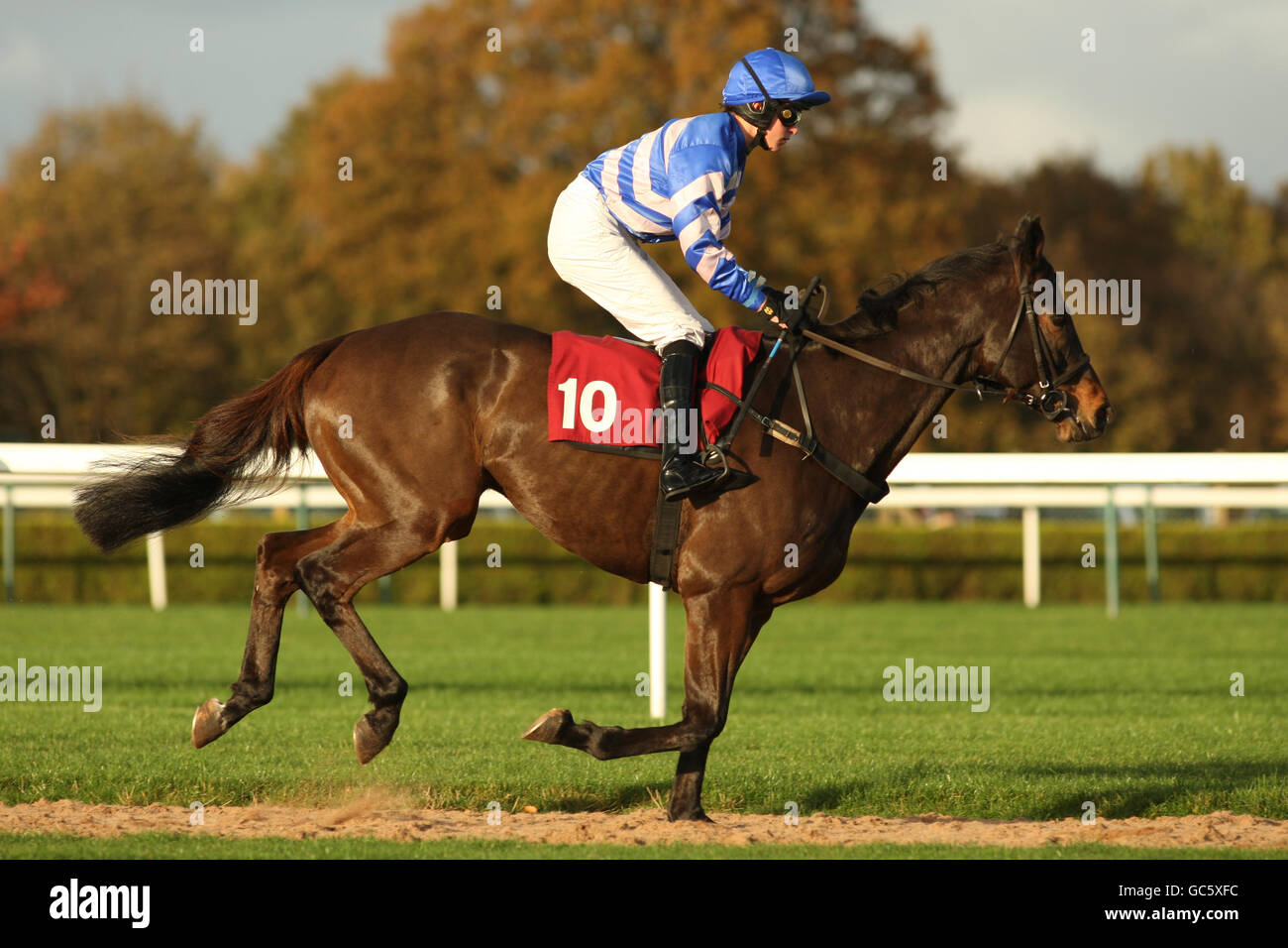Horse Racing - Haydock Park Stock Photo - Alamy