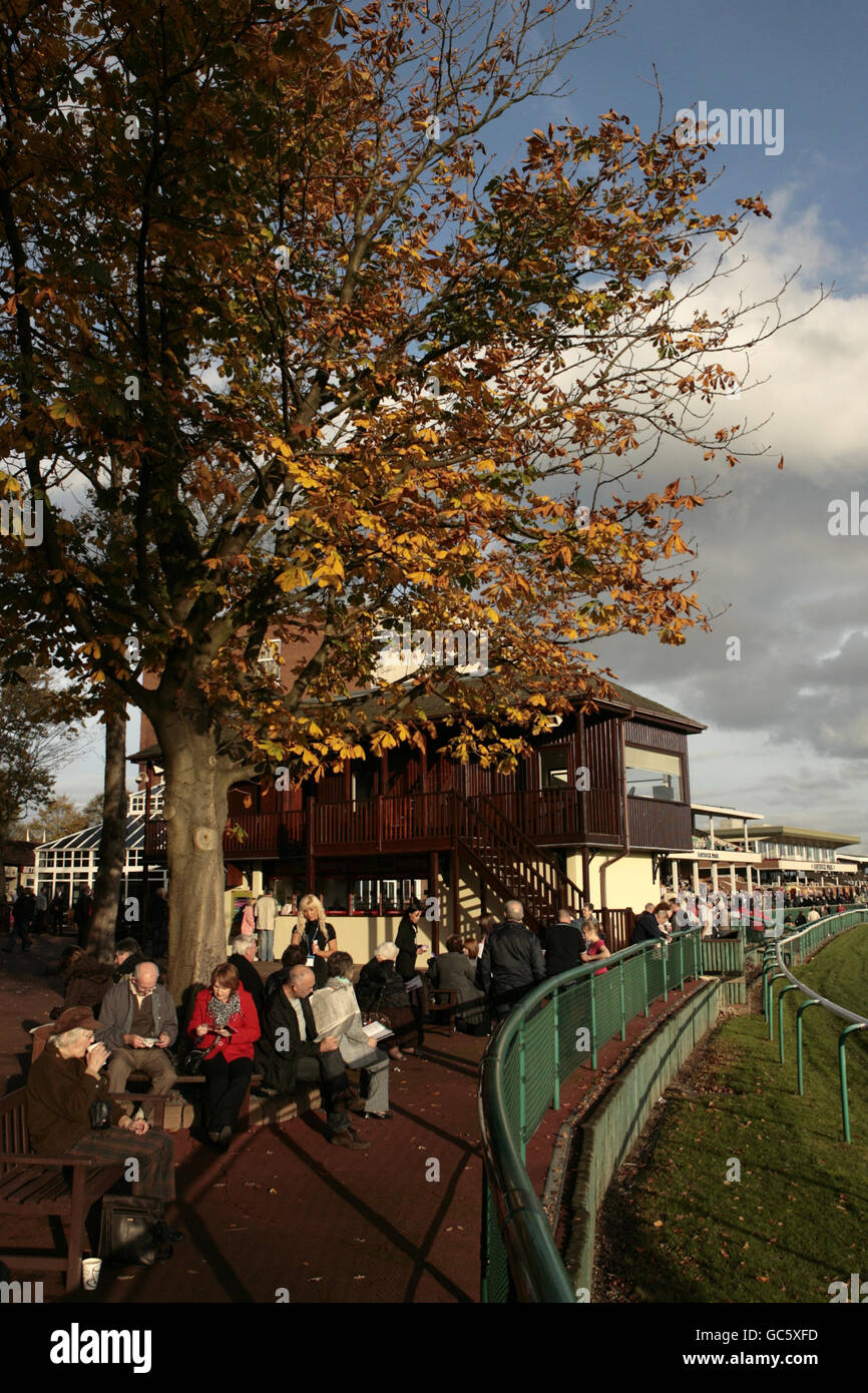 Horse Racing - Haydock Park Stock Photo - Alamy