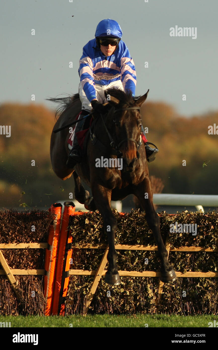 Horse Racing - Haydock Park Stock Photo - Alamy