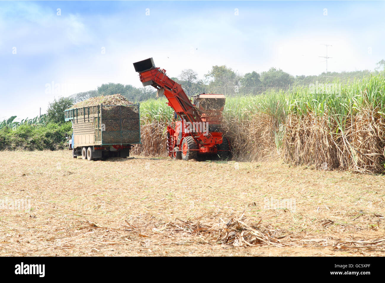 Cane tractor hi-res stock photography and images - Alamy