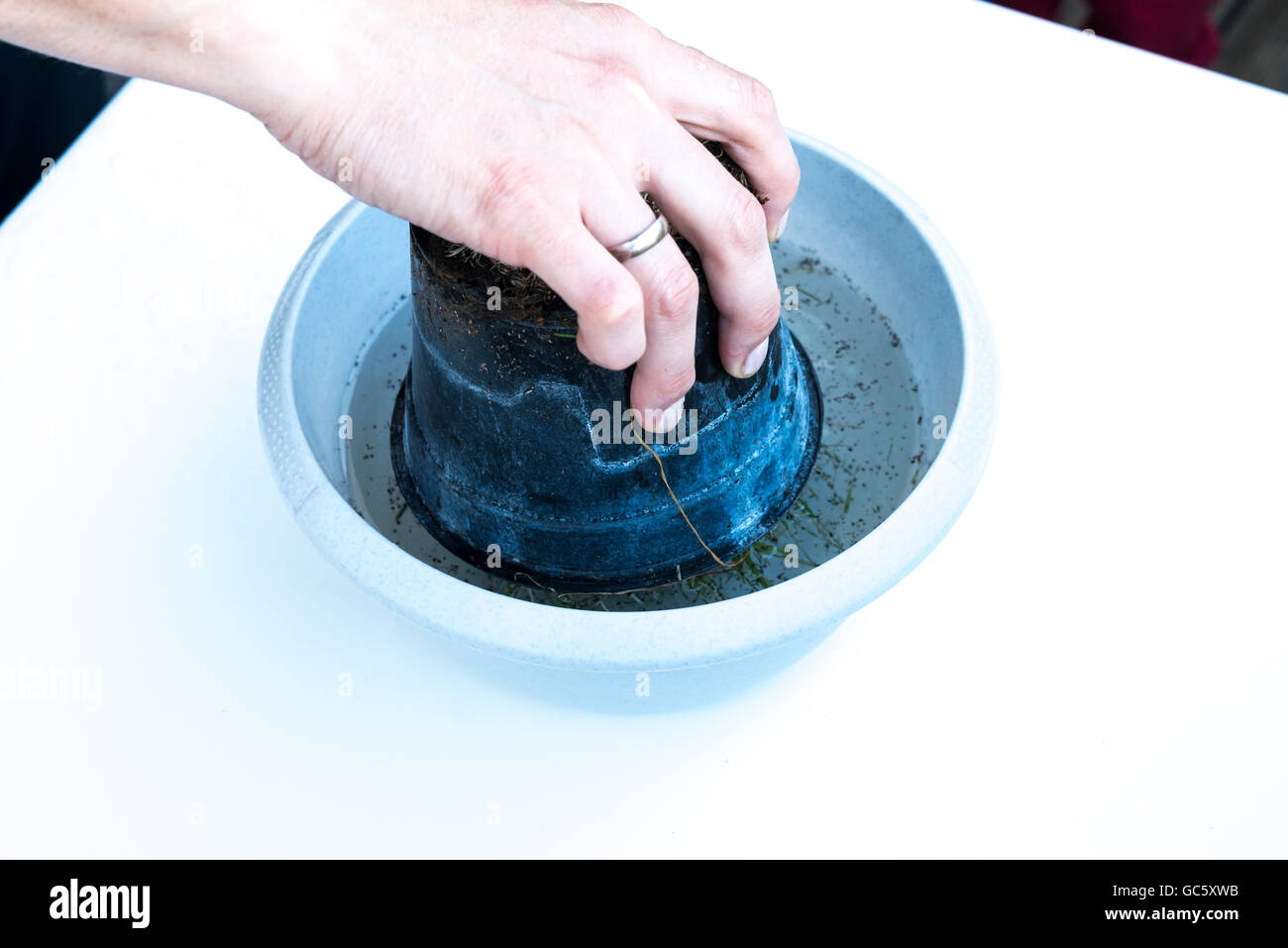 Upside down flower pot hi-res stock photography and images - Alamy