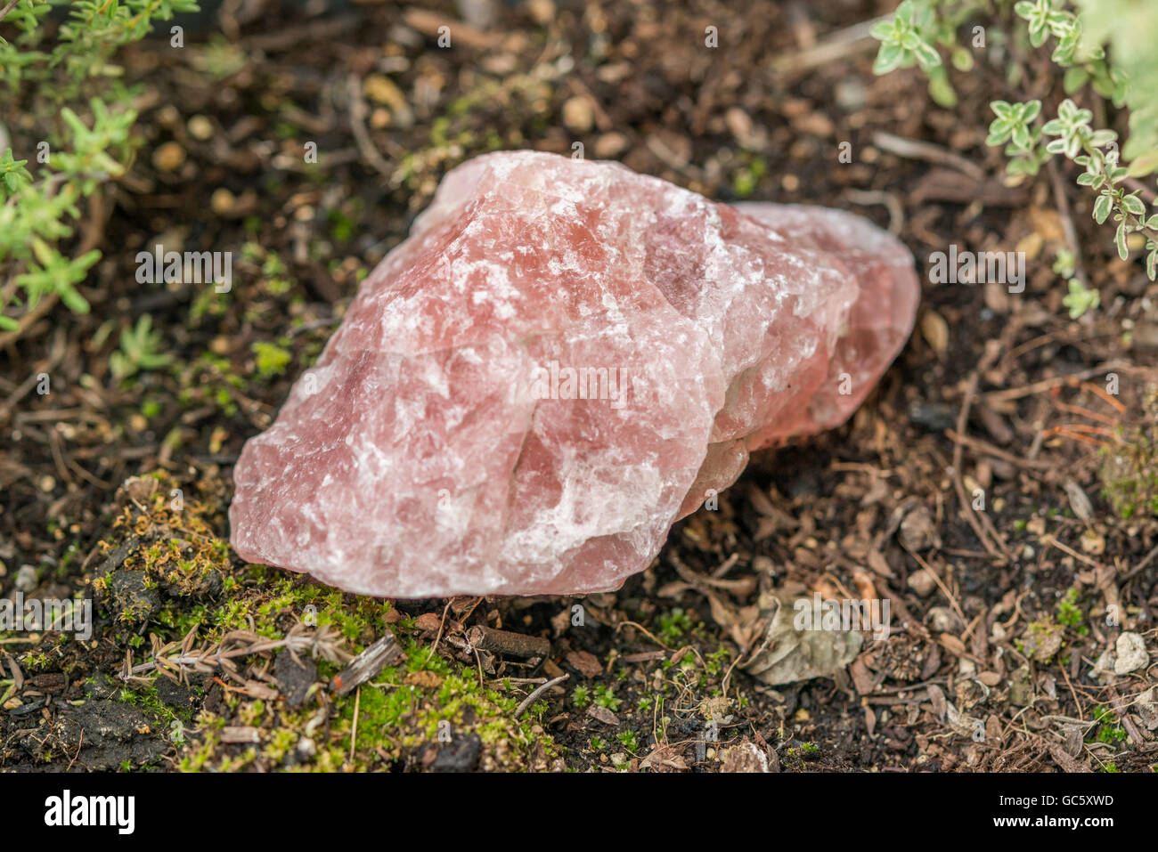 Ground quartz hi-res stock photography and images - Alamy