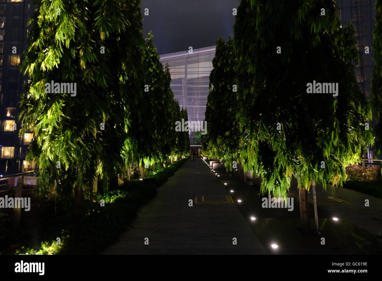 Tree lined alley at night Stock Photo - Alamy