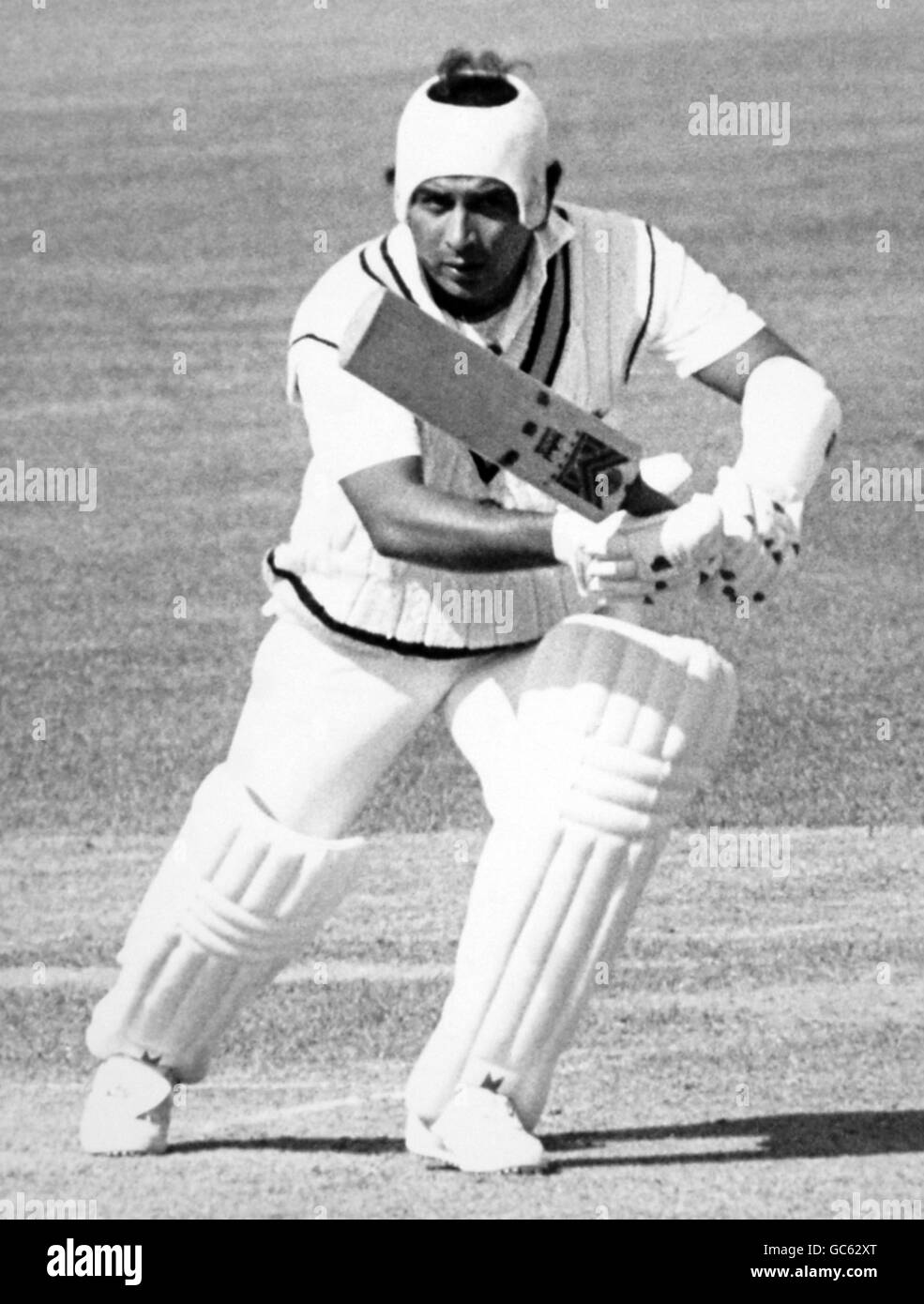 Cricket - Portrait Stock Photo - Alamy