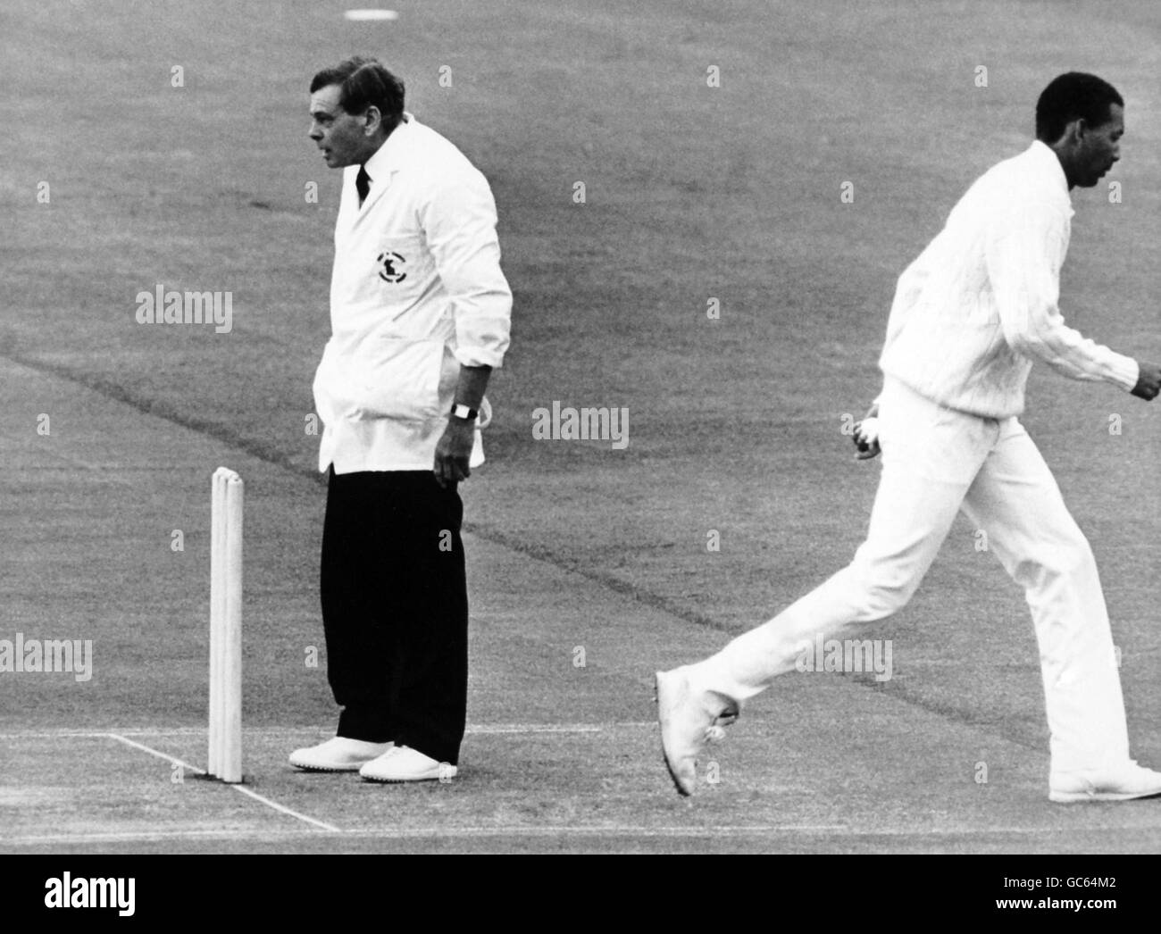 Full length player umpire cricket playground cricprints 227844 3 wicket ...