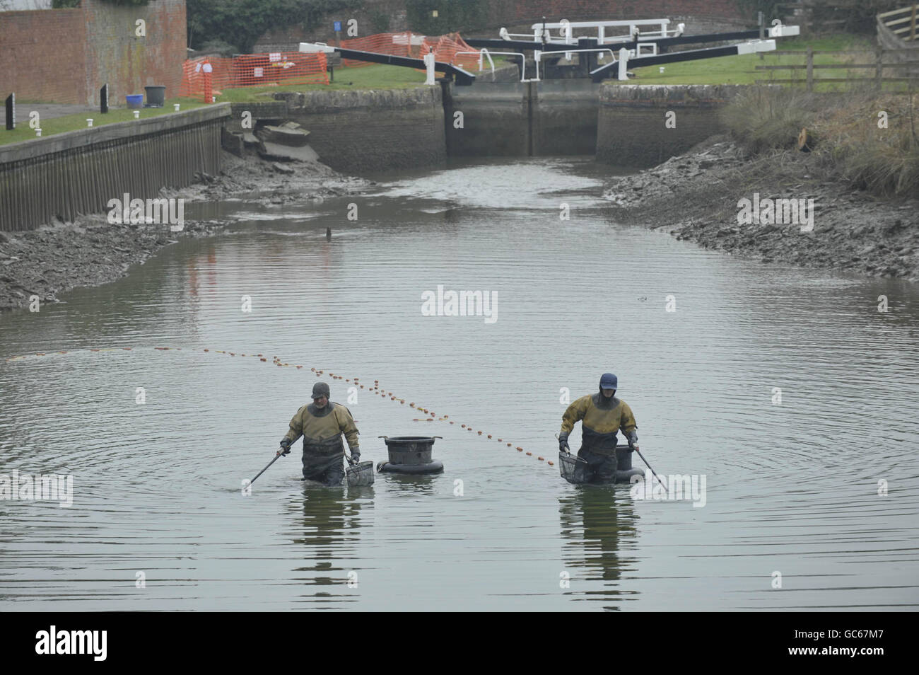 Fishermen Collecting Fishes High Resolution Stock Photography and ...