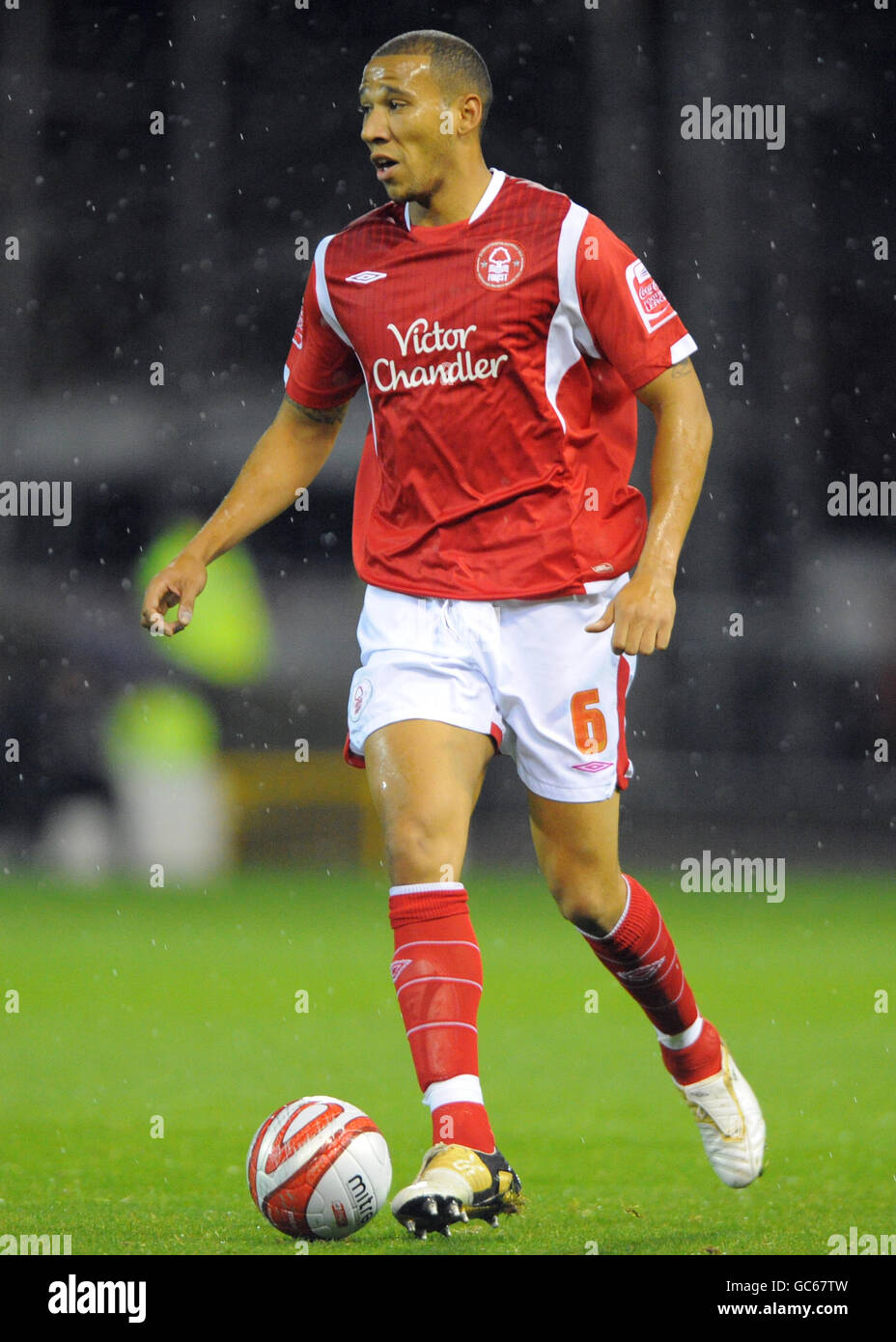 Kelvin wilson forest hi-res stock photography and images - Alamy