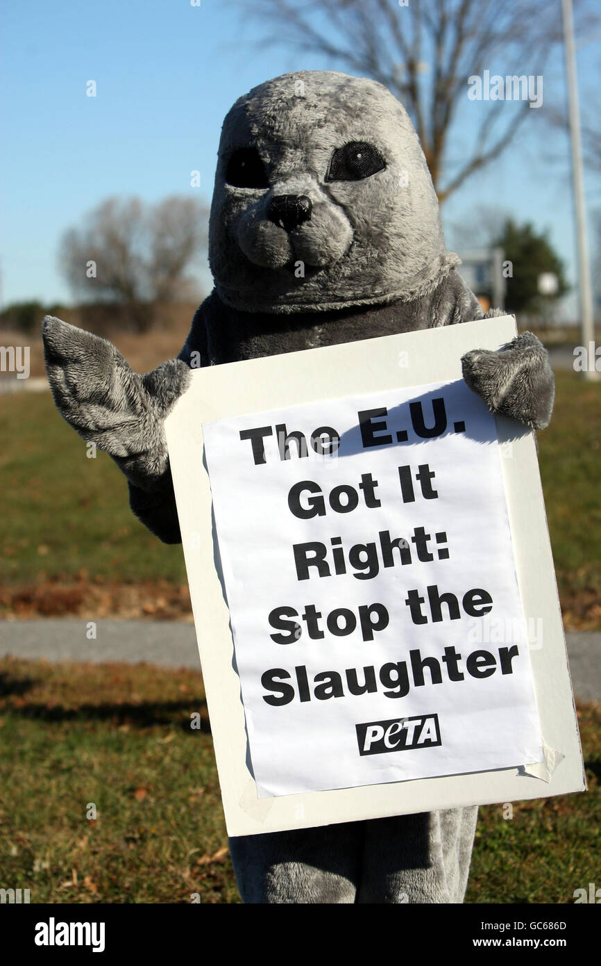 A PETA protestor stands outside the Canada Reception Centre in Ottawa ...