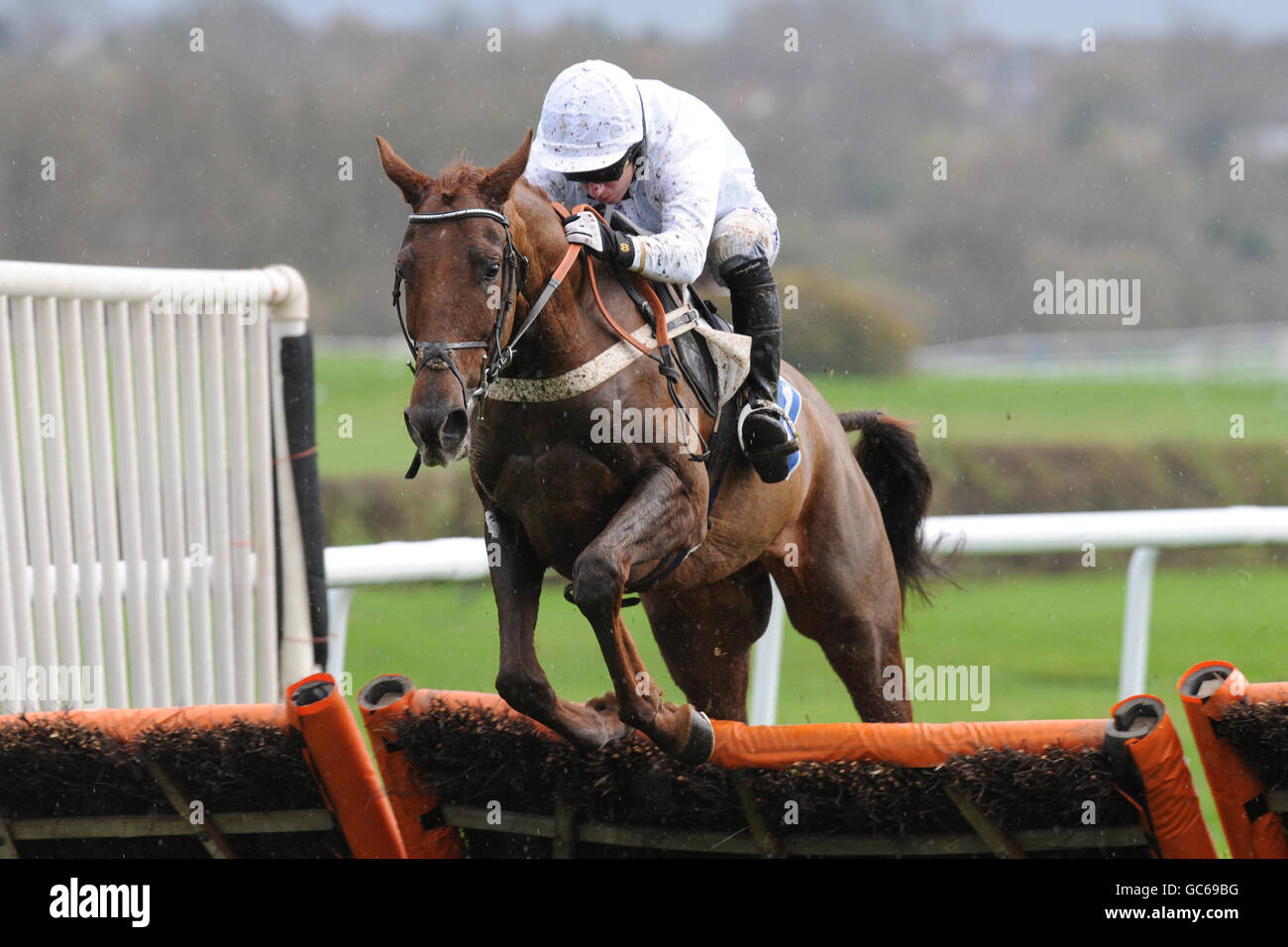 Horse racing races full length fence hurdle hi-res stock photography ...