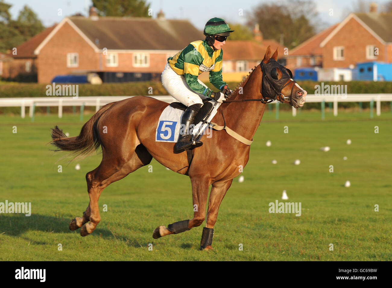Racecourse full length prior race before hi-res stock photography and ...