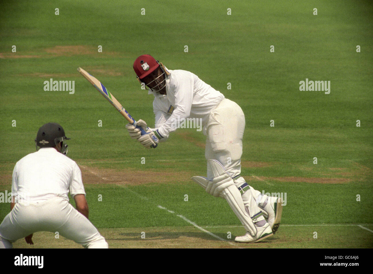 DESMOND HAYNES IN ACTION Stock Photo - Alamy