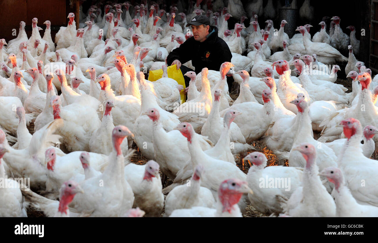 Time burn hi-res stock photography and images - Alamy