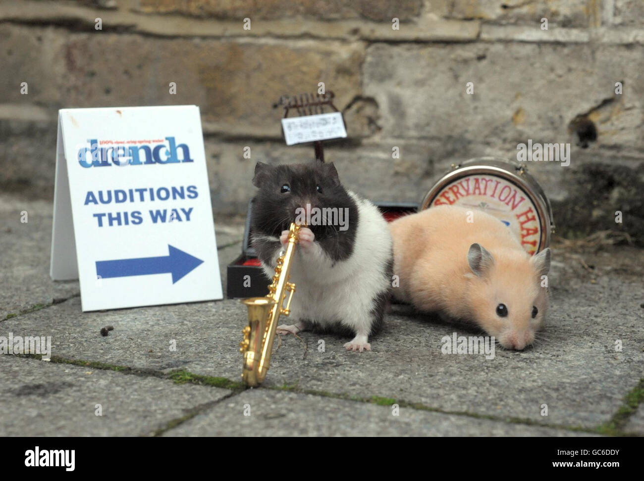 In this image released by Frank PR a hamster appears to practice on a ...