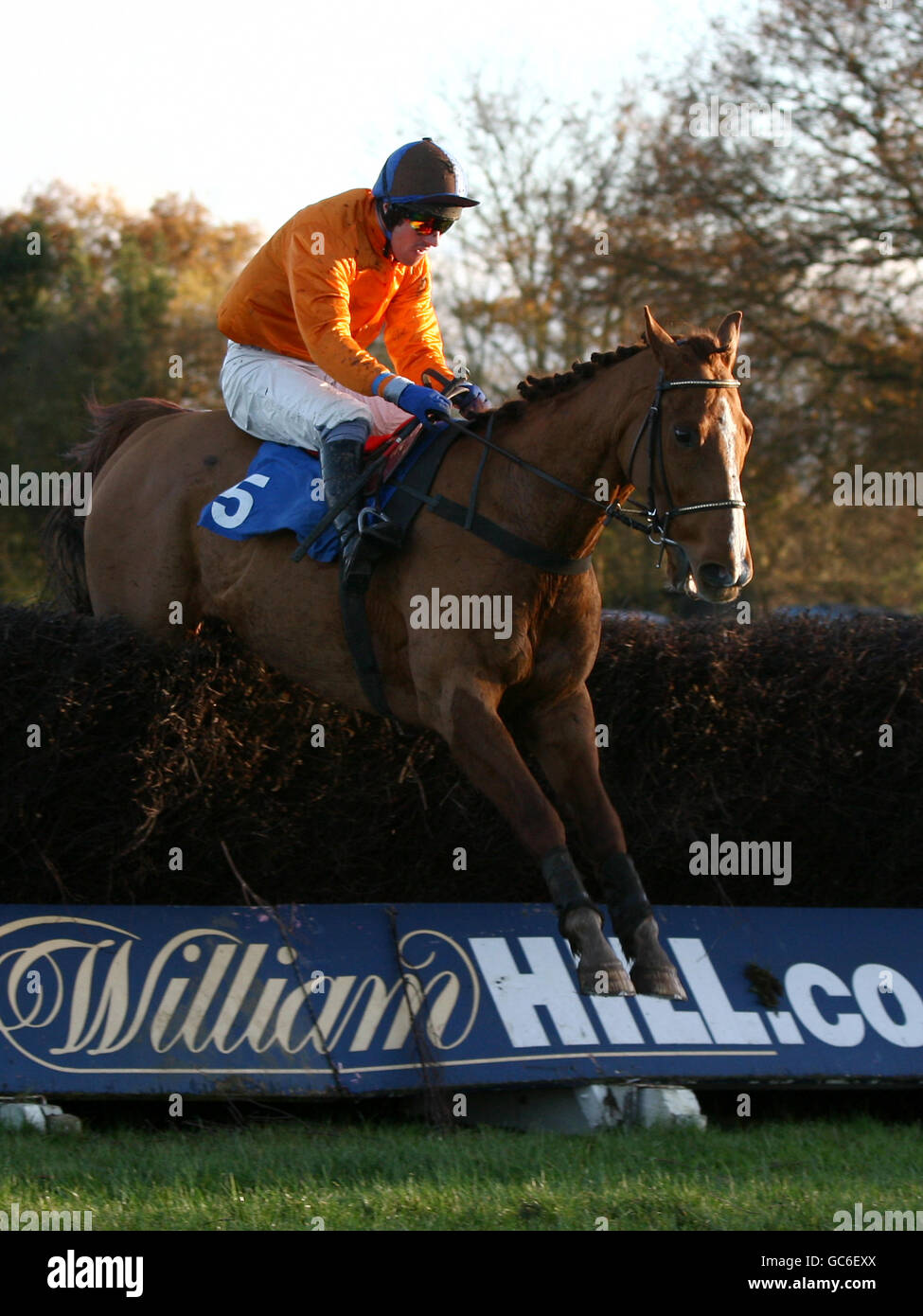 Tyup pompey ridden lee stephens racing uk handicap steeple chase hi-res ...