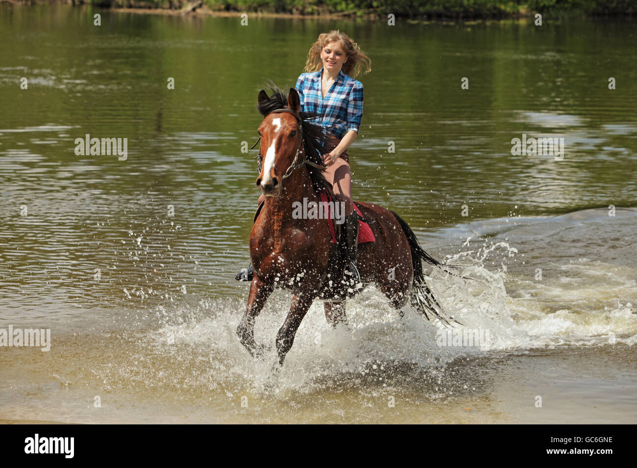 Horse splashing through water hi-res stock photography and images - Alamy