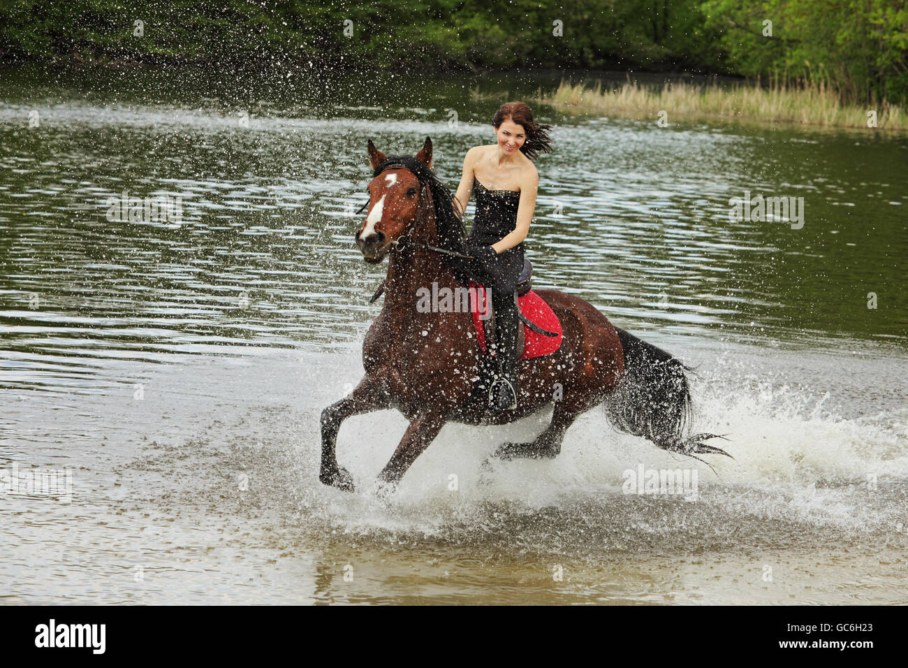 Horse riding through water hi-res stock photography and images - Alamy
