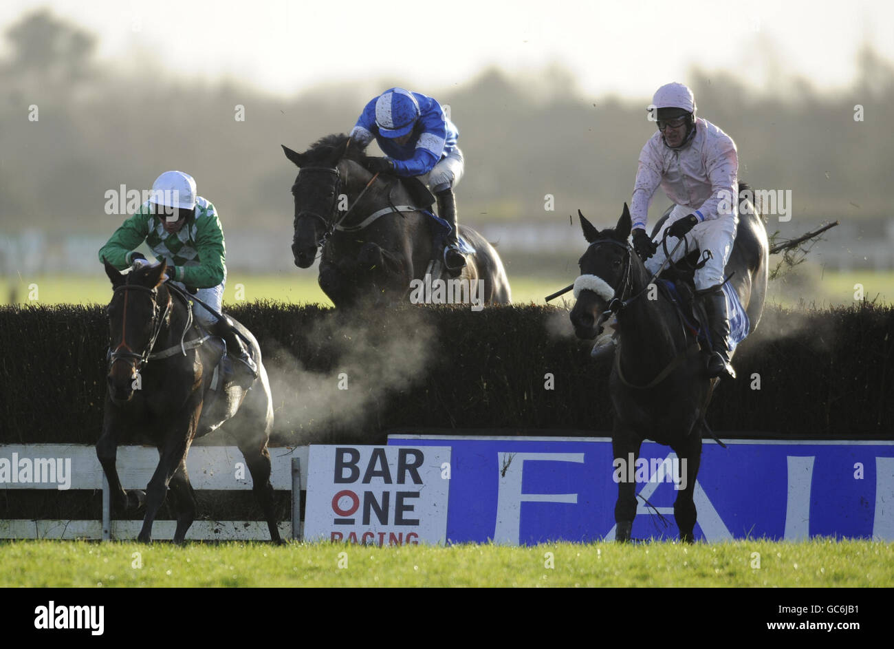 Cara steeplechase hi-res stock photography and images - Alamy