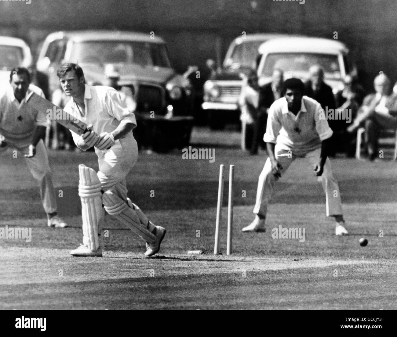 Bat park Black and White Stock Photos & Images - Alamy