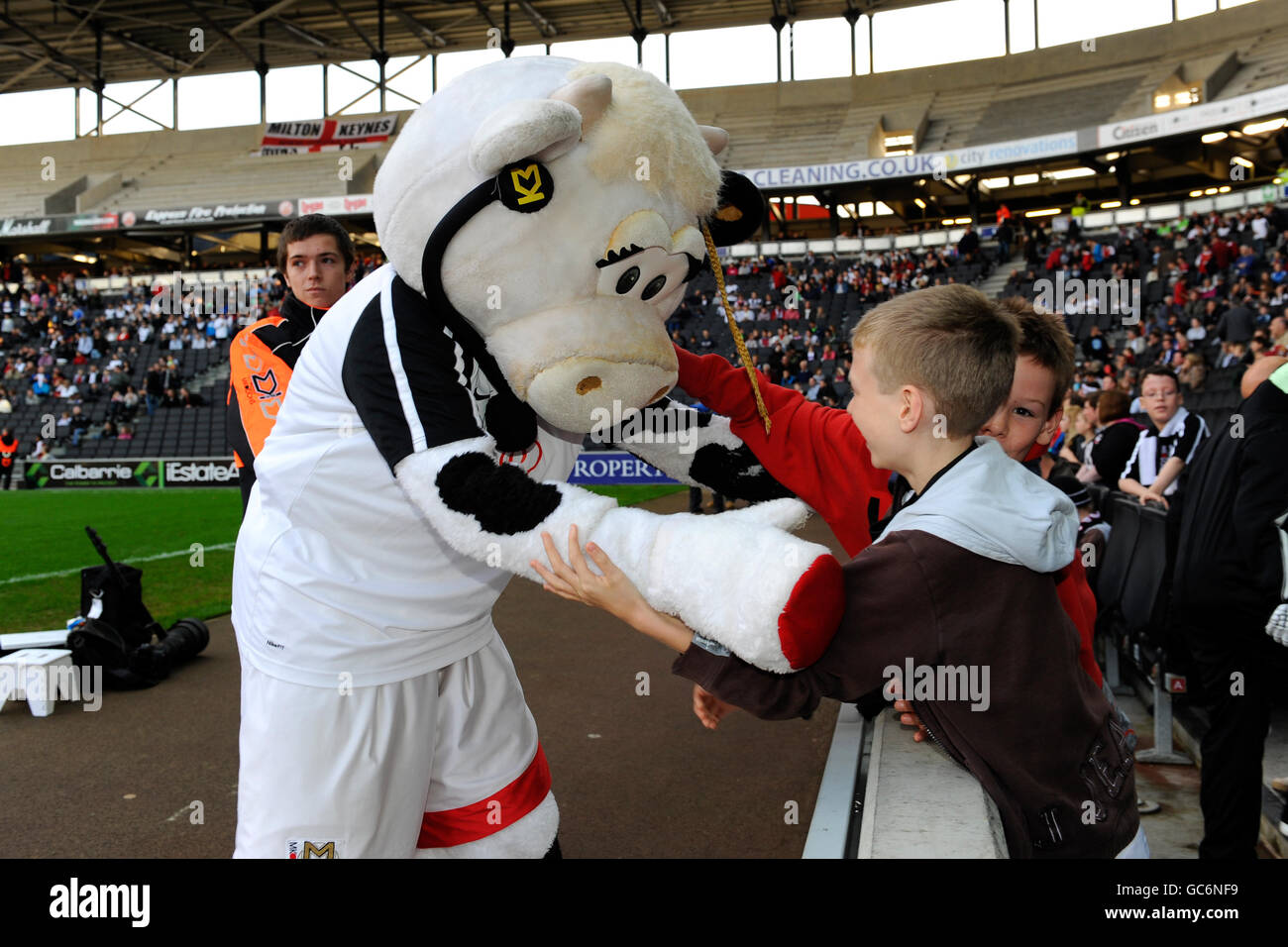 Milton keynes dons mascot hi-res stock photography and images - Alamy
