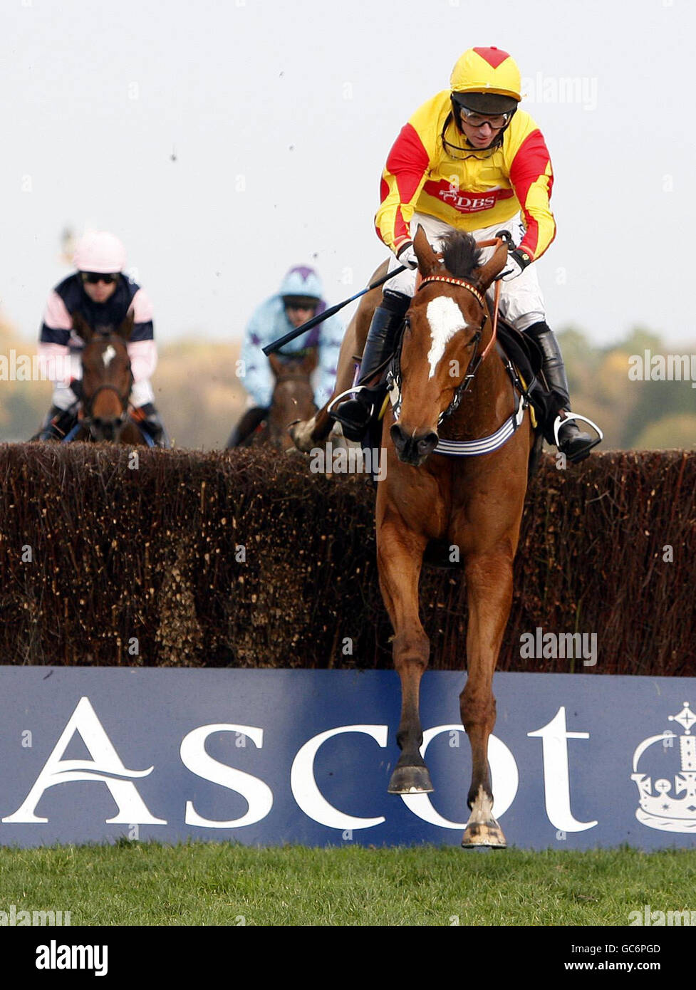 Psychomodo hi-res stock photography and images - Alamy