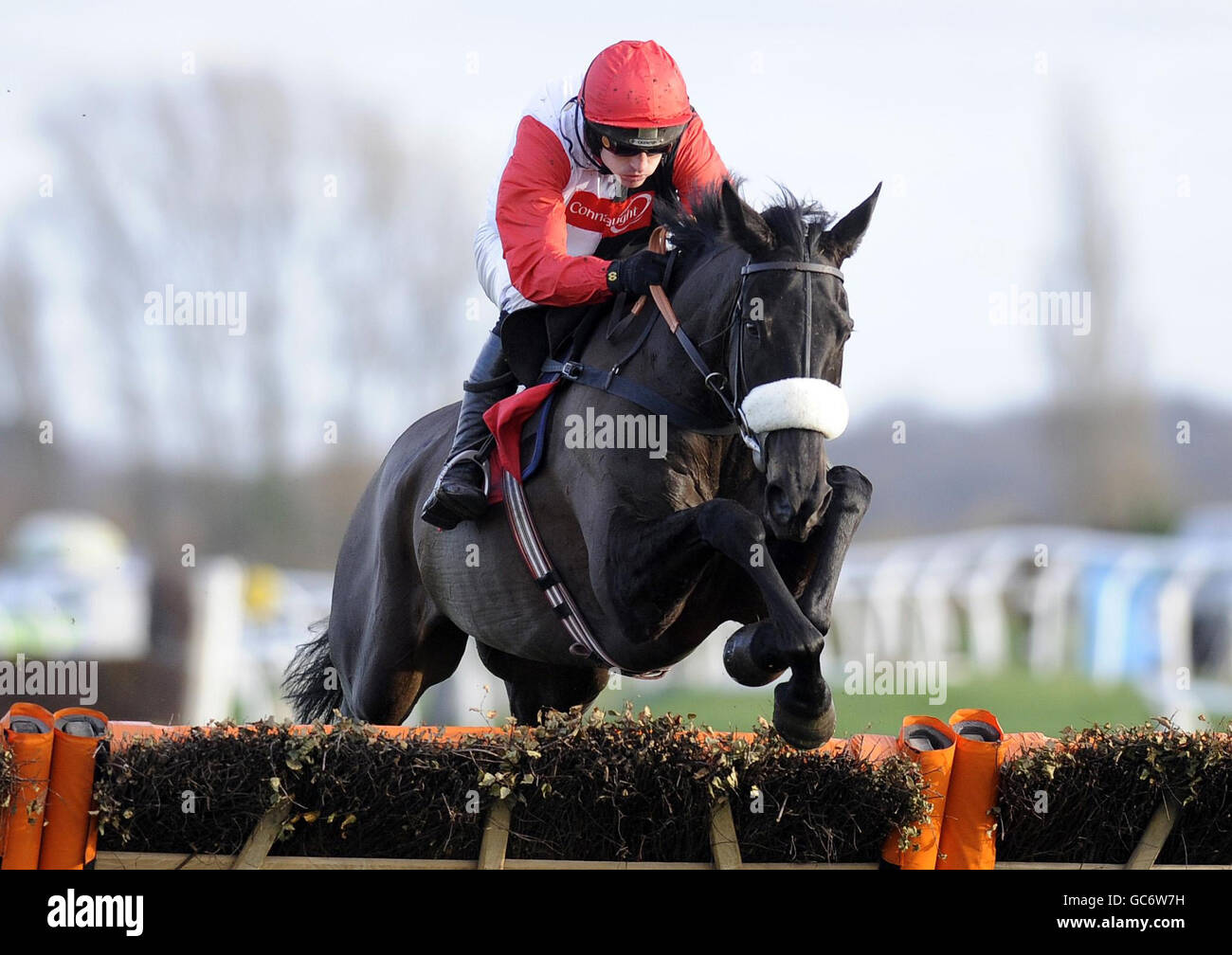 Big bucks horse hi-res stock photography and images - Alamy