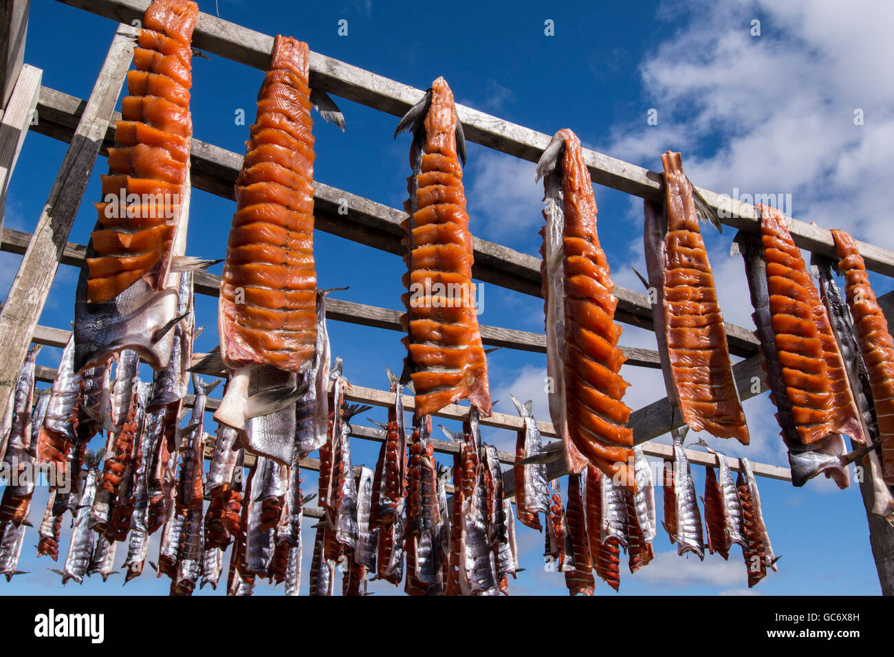 Alaska nome bob blodgett nome teller hi-res stock photography and ...
