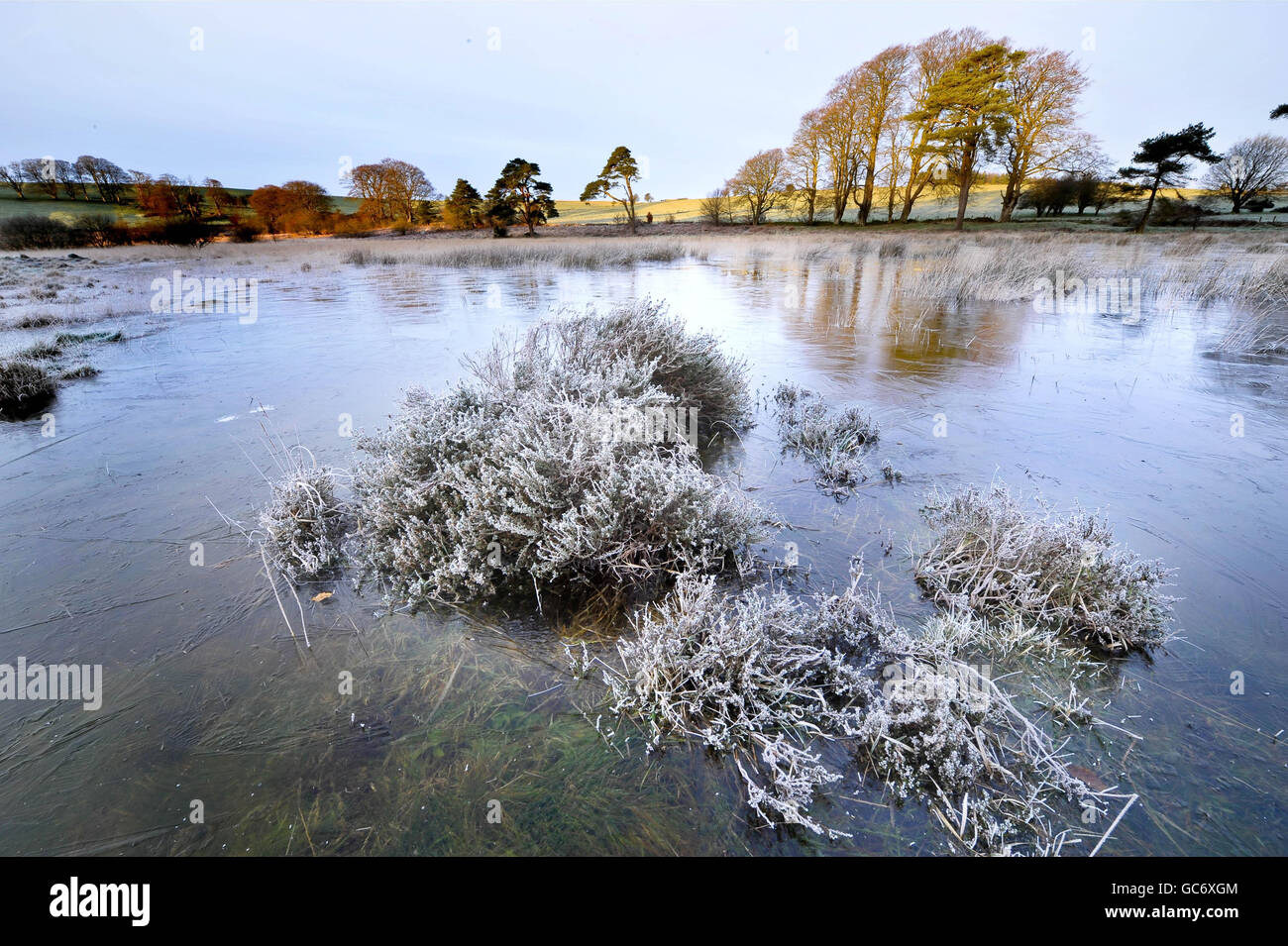 Priddy village hi-res stock photography and images - Alamy