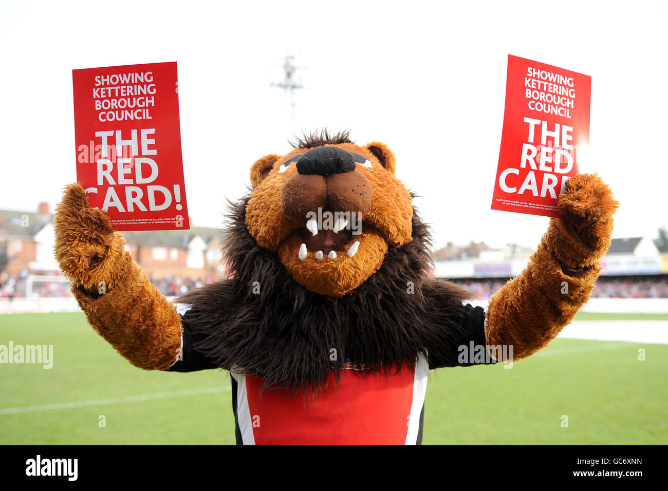 Kettering Town mascot Champ the Lion protests at the local council's ...