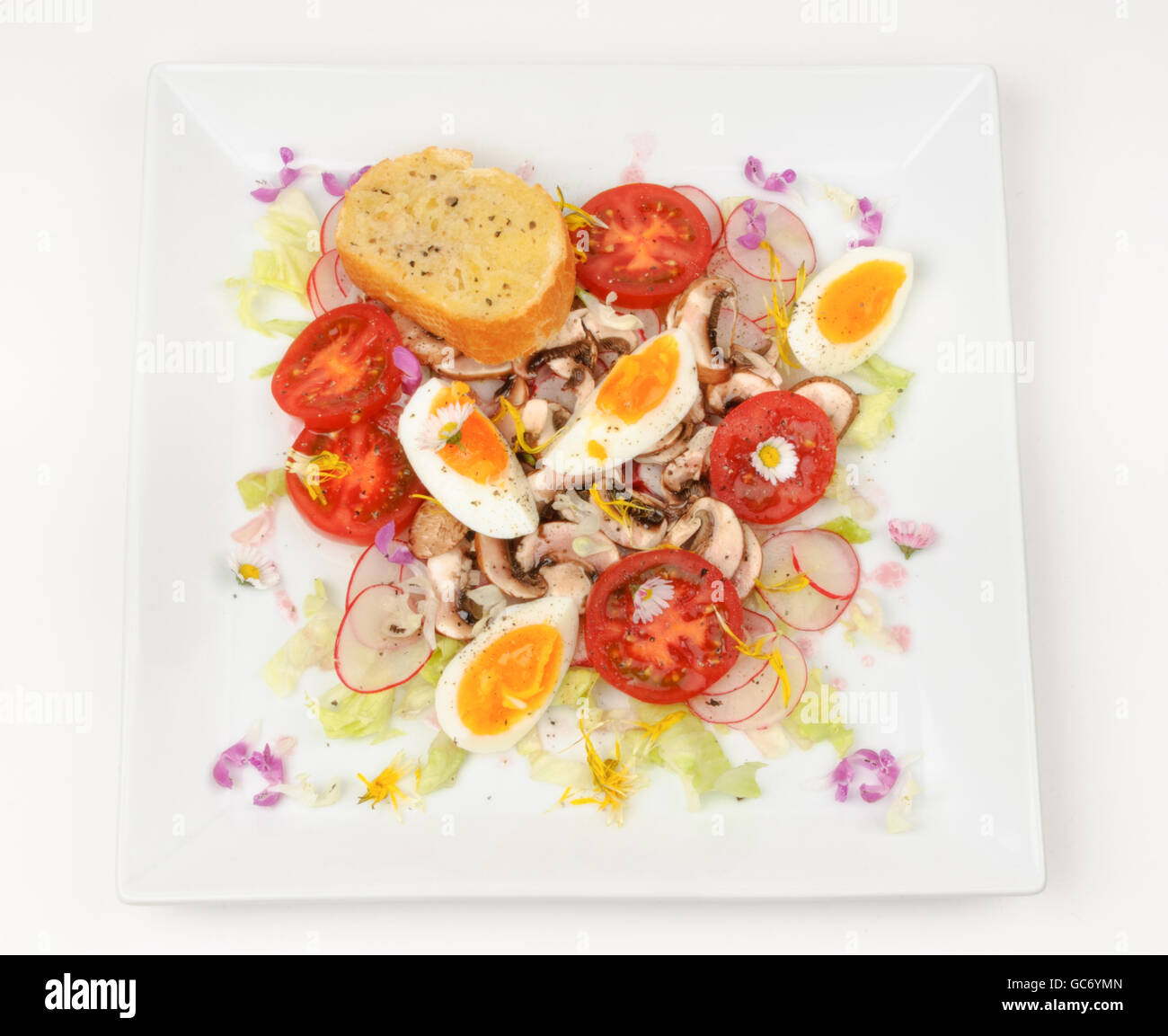 Lettuce dish with radishes, mushrooms, tomatoes, egg and baguette with ...