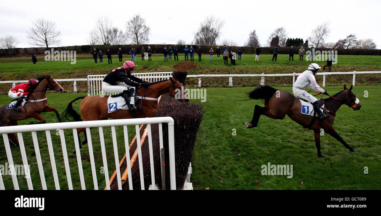 Double Mead ridden by Tom Siddall leads the field over a flight on ...