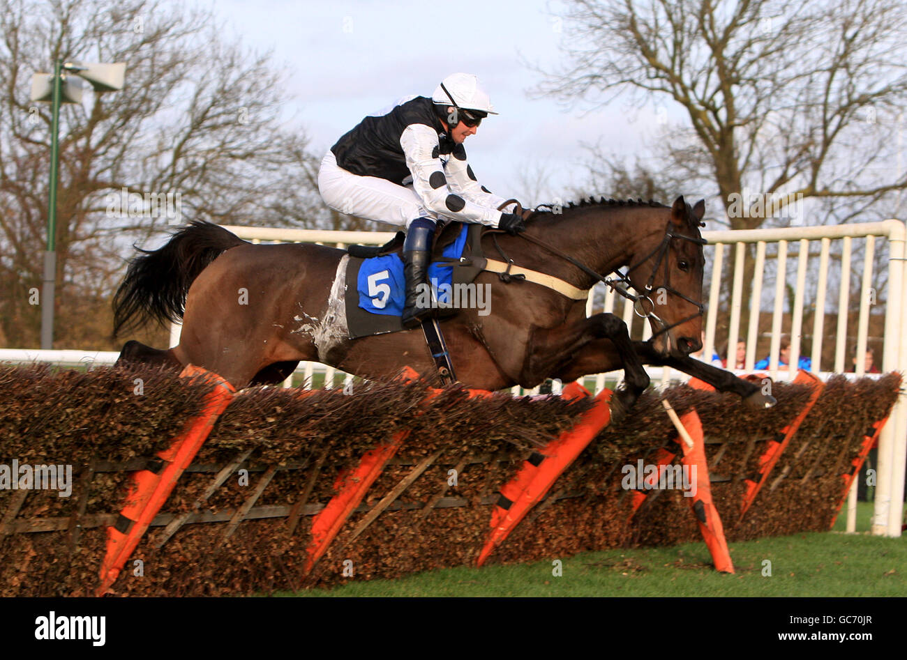 Jockey Marc Goldstein High Resolution Stock Photography and Images - Alamy