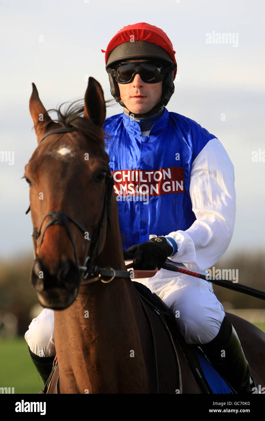 South african horse racing hi-res stock photography and images - Alamy
