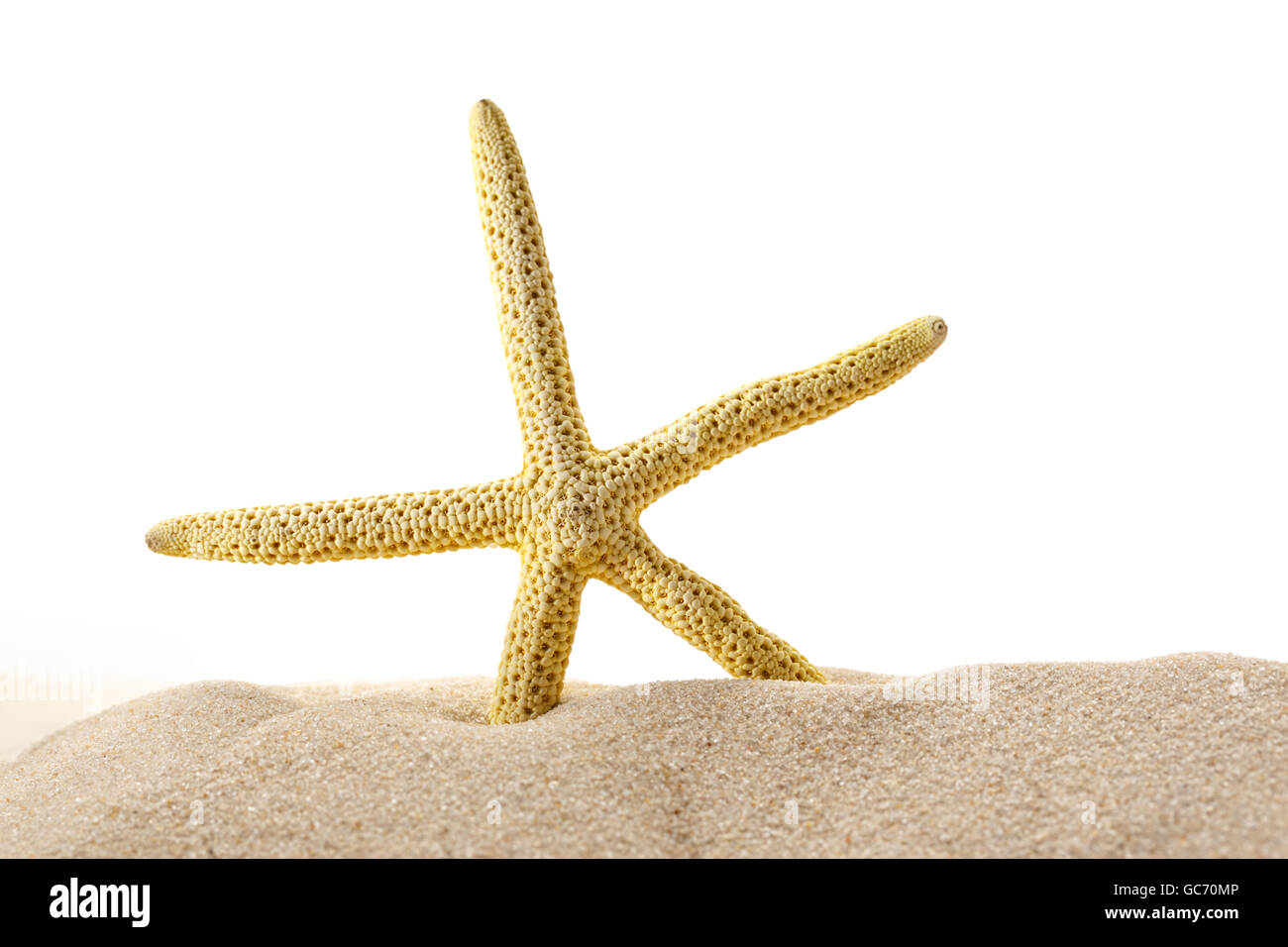 Sea star in sand on white background Stock Photo - Alamy