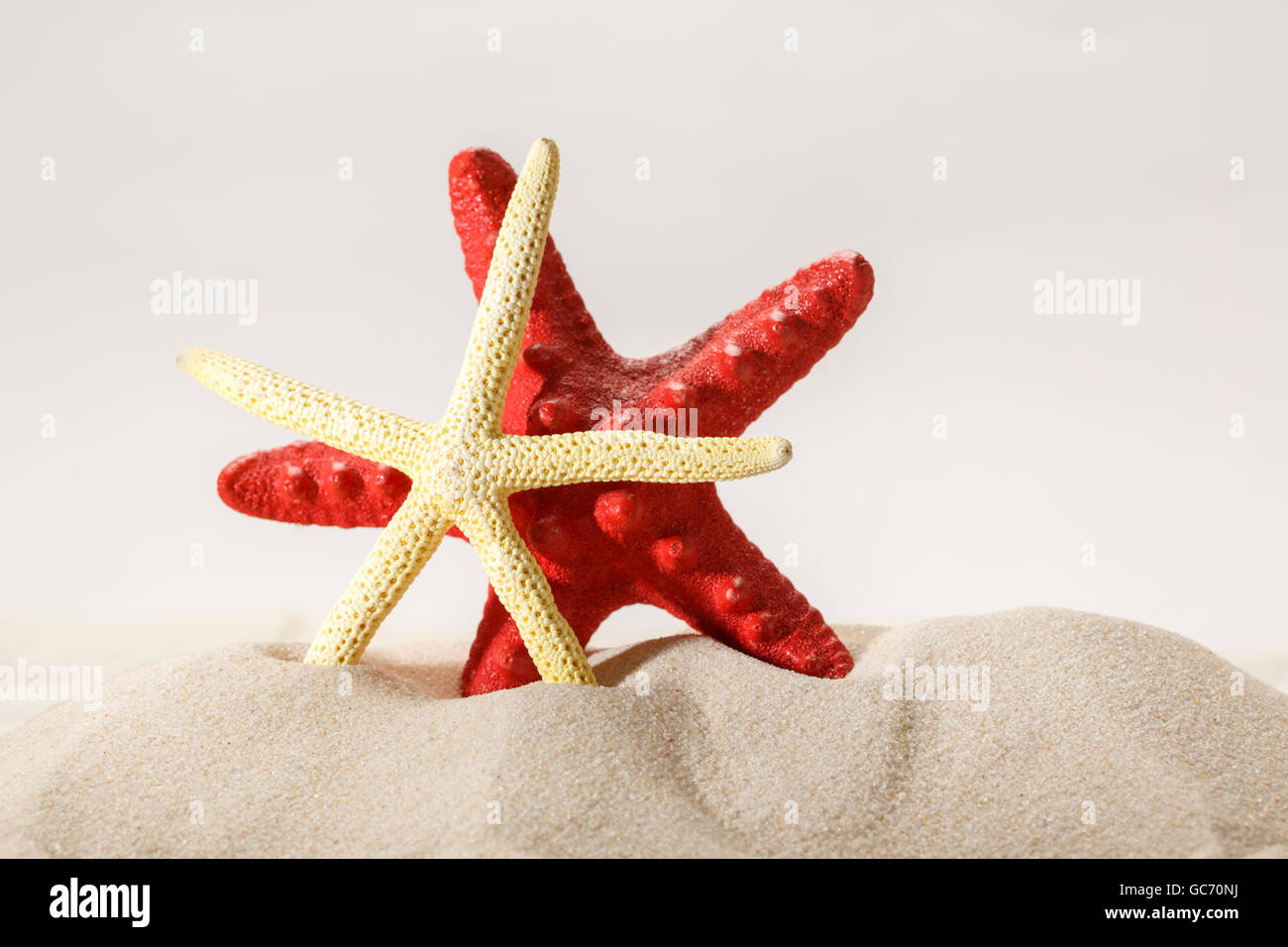 Sea stars in sand on white background Stock Photo - Alamy