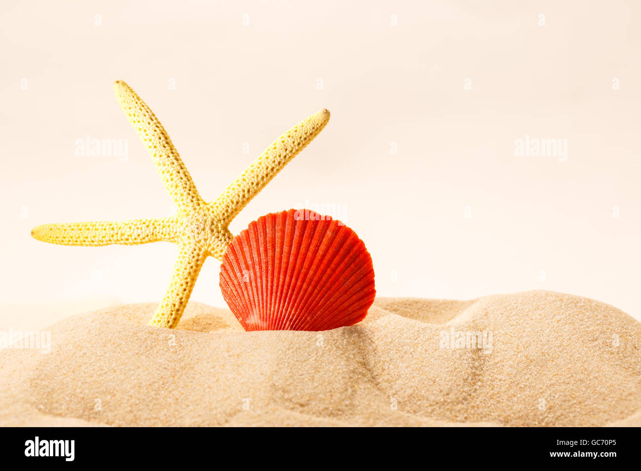 Sea shell and star in sand on white background Stock Photo - Alamy