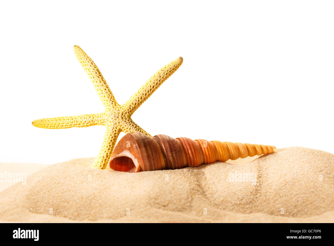 Sea shell and star in sand on white background Stock Photo - Alamy