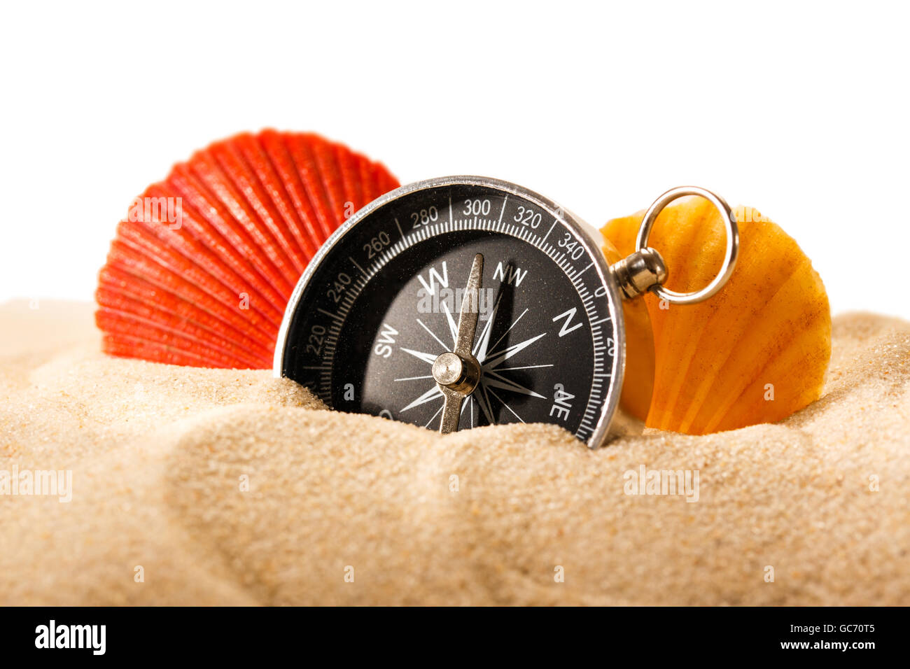 Sea shells and compass in sand on white background Stock Photo - Alamy