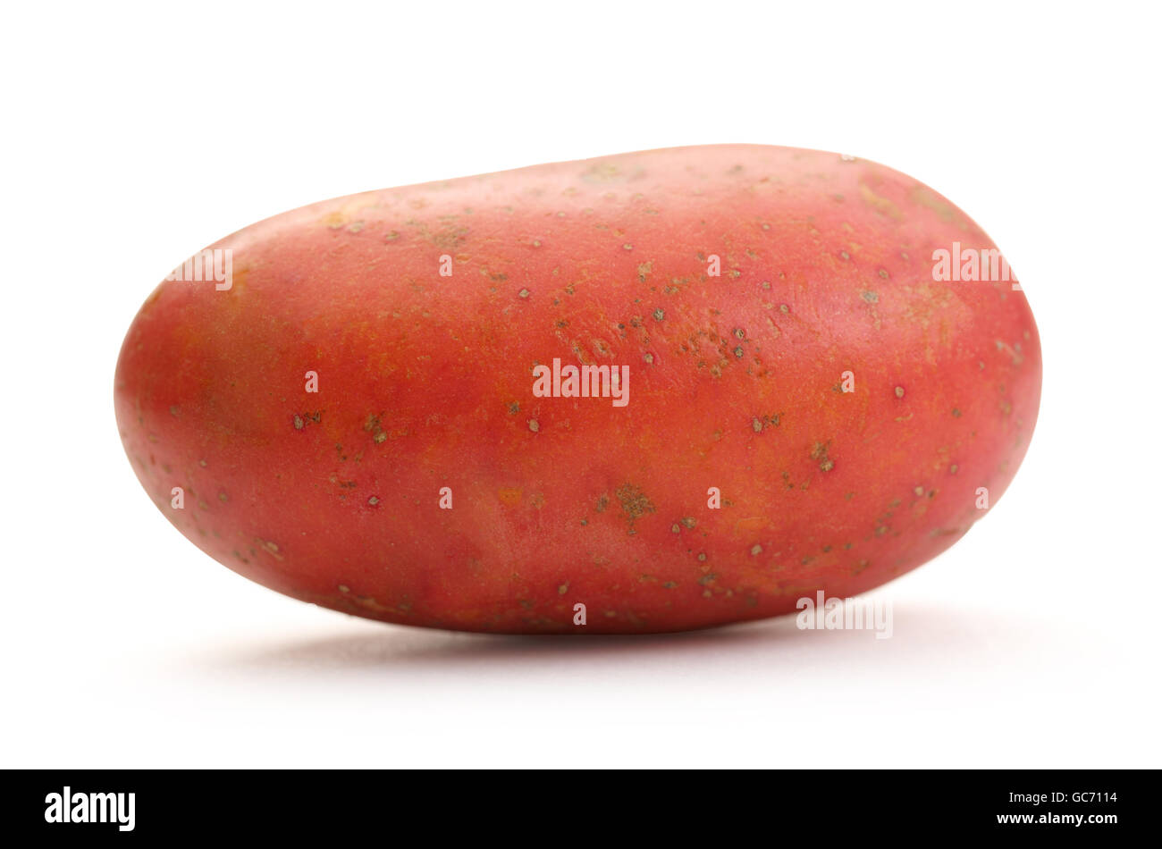 One fresh whole potato on white background Stock Photo - Alamy