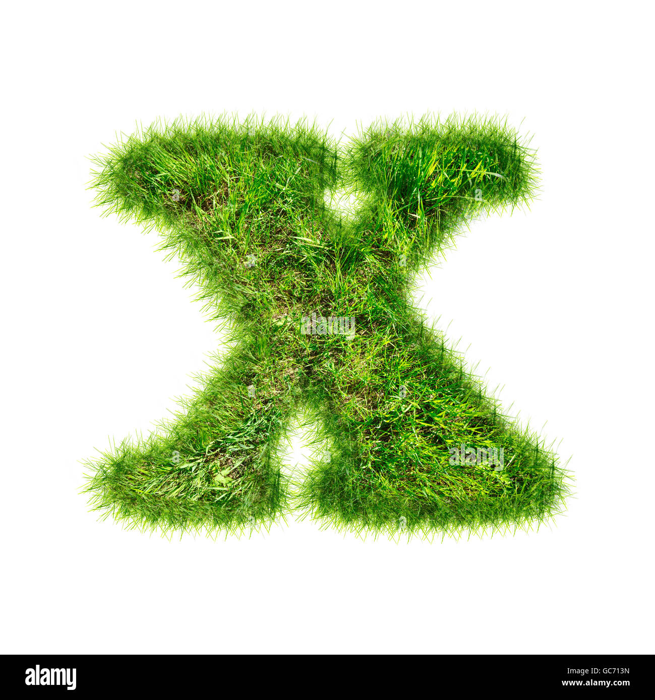 Capital latin letter made of green grass Stock Photo - Alamy