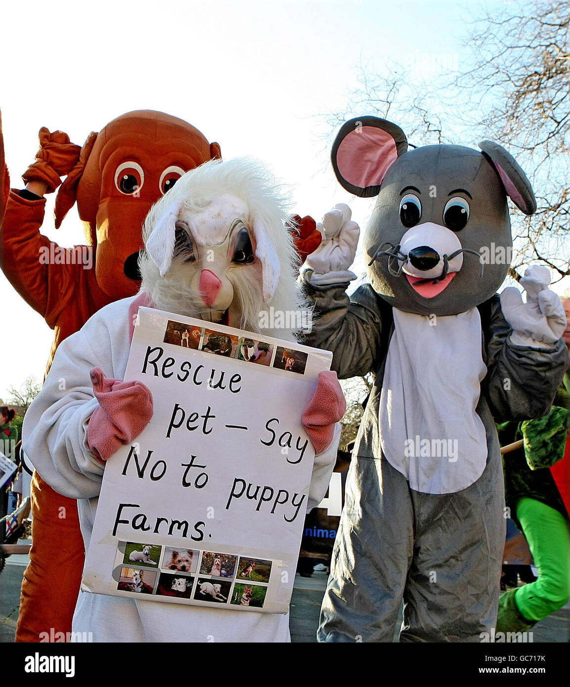 Animal Rights Action Network hold a protest in Dublin city centre to ...