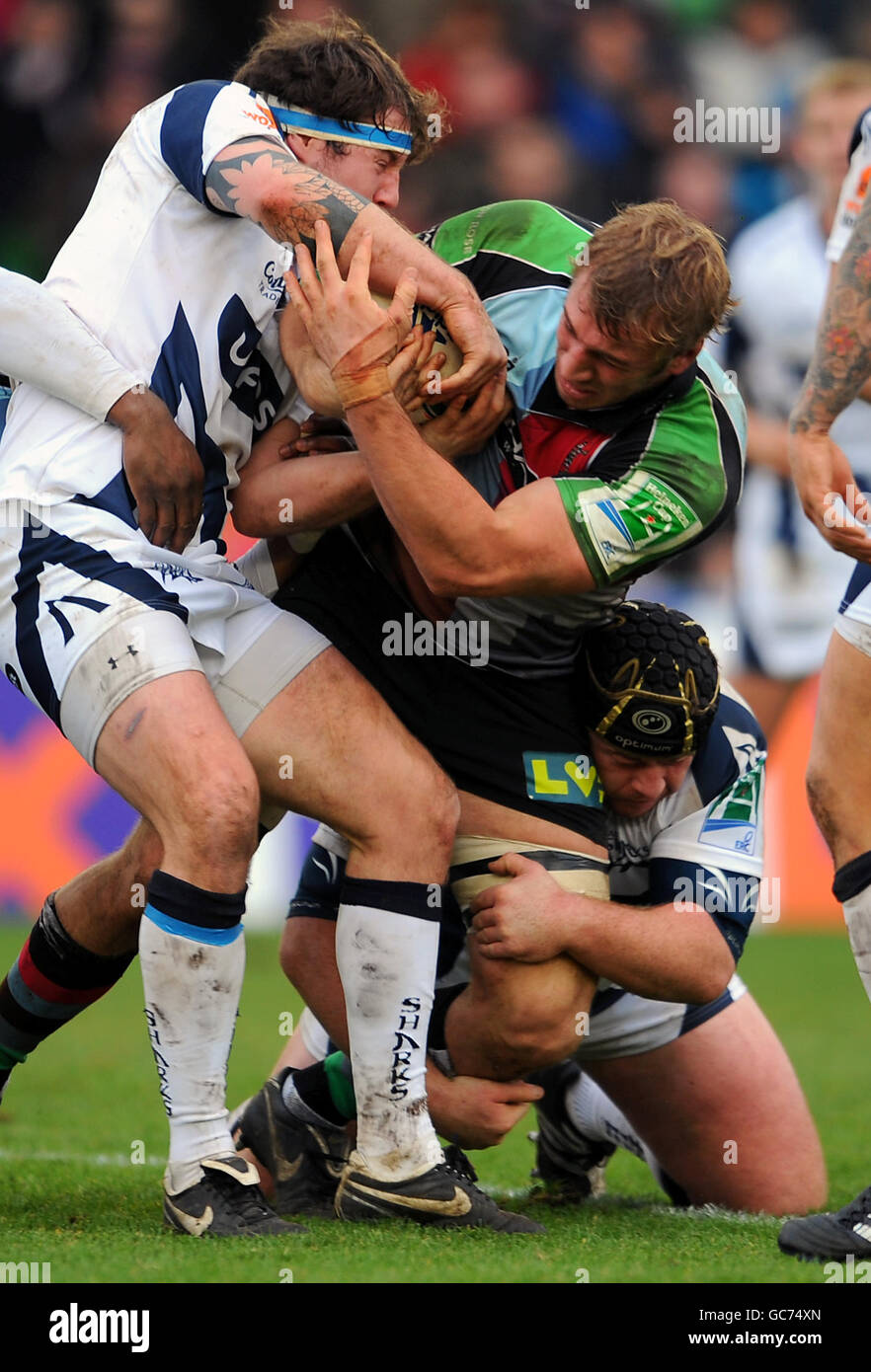 Rugby Union - Heineken Cup - Pool 5 - Harlequins v Sale Sharks ...