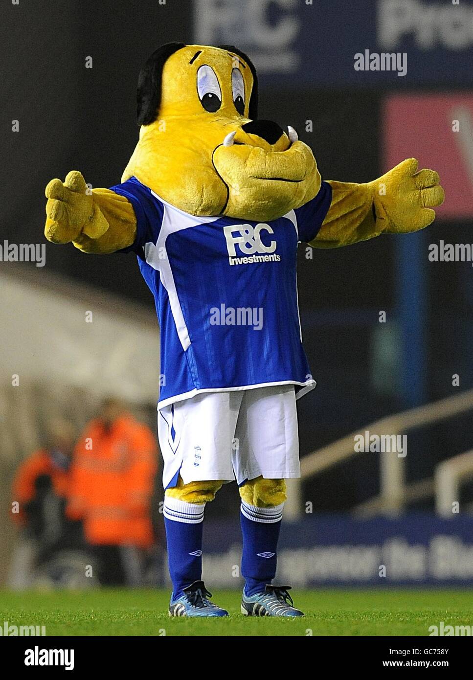 The blackburn rovers mascot hi-res stock photography and images - Alamy