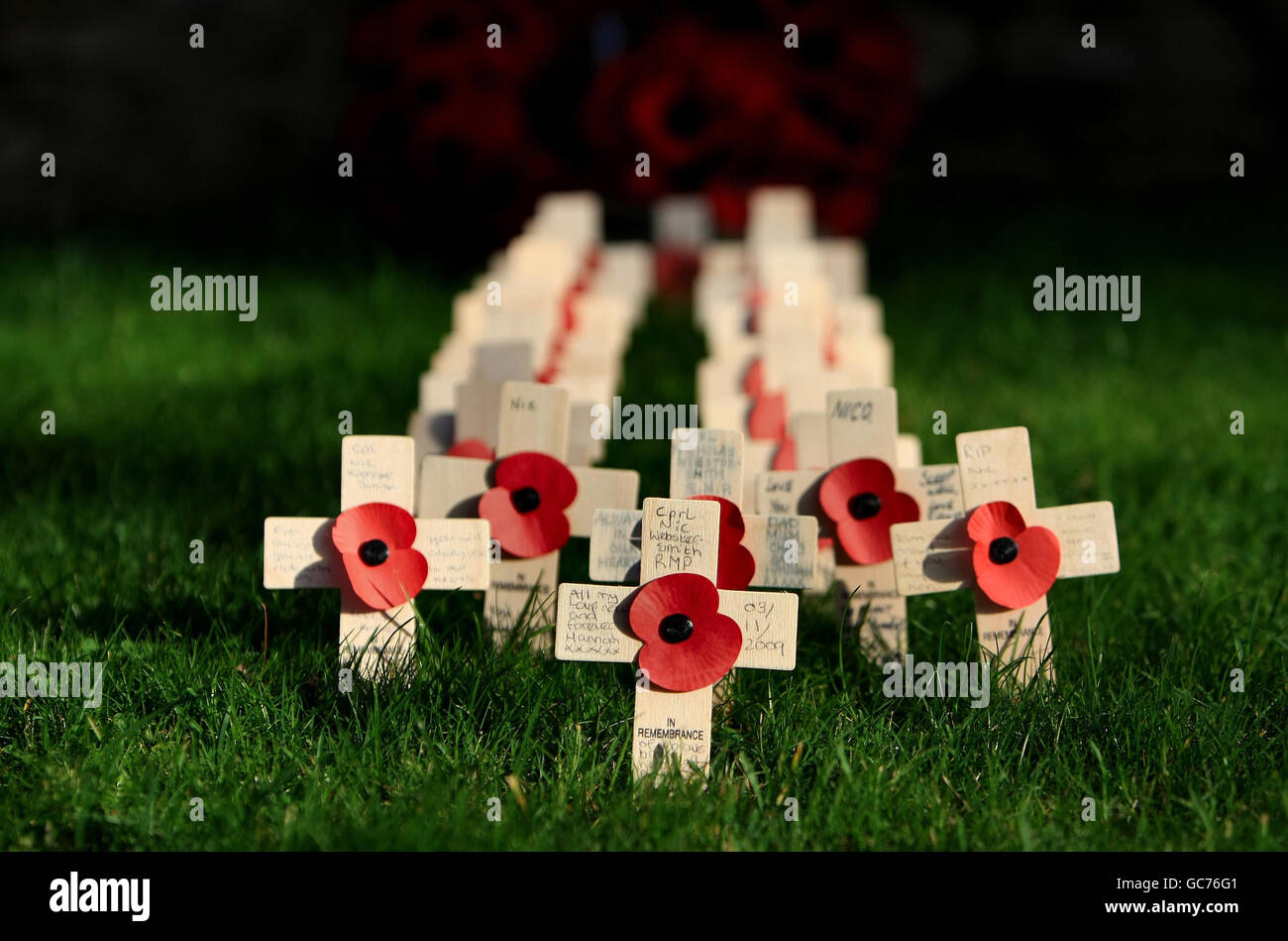 Wooden crosses in remembrance of Corporal Nicholas Webster-Smith of the ...