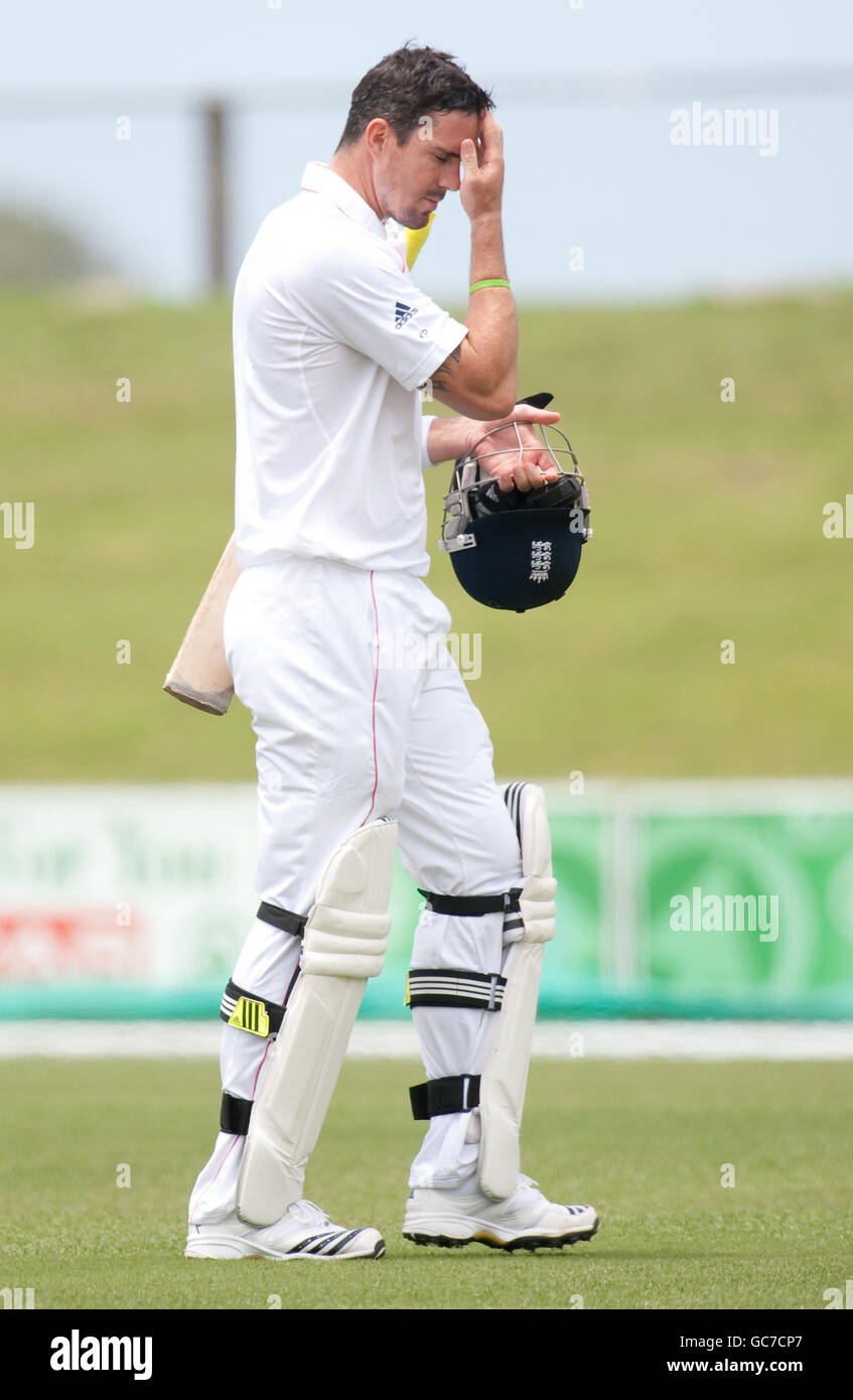 David wiese south africa hi-res stock photography and images - Alamy