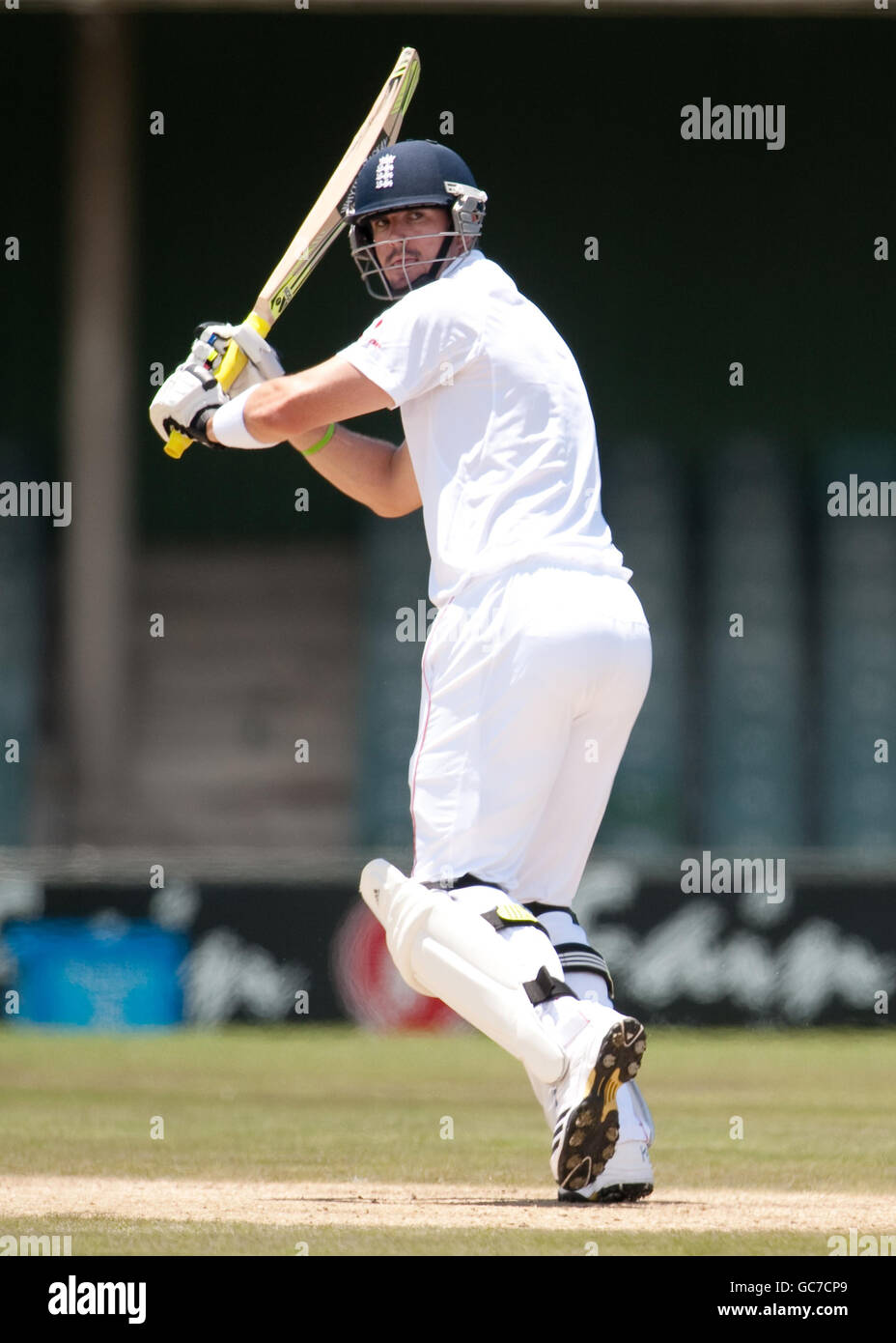 Buffalo park cricket hi-res stock photography and images - Alamy