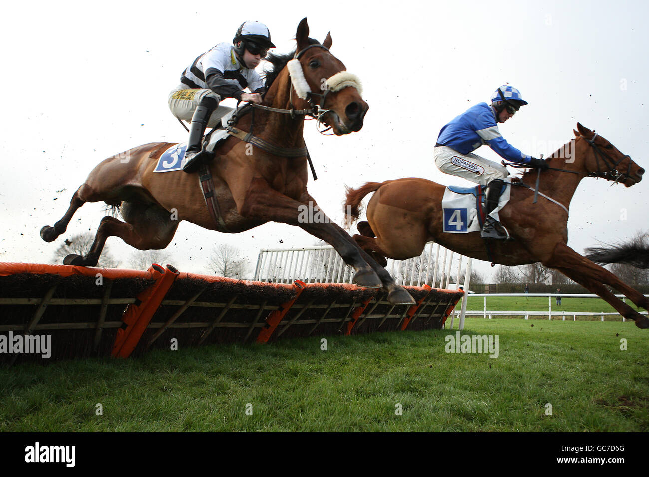 Horse Racing - Leicester Racecourse Stock Photo - Alamy