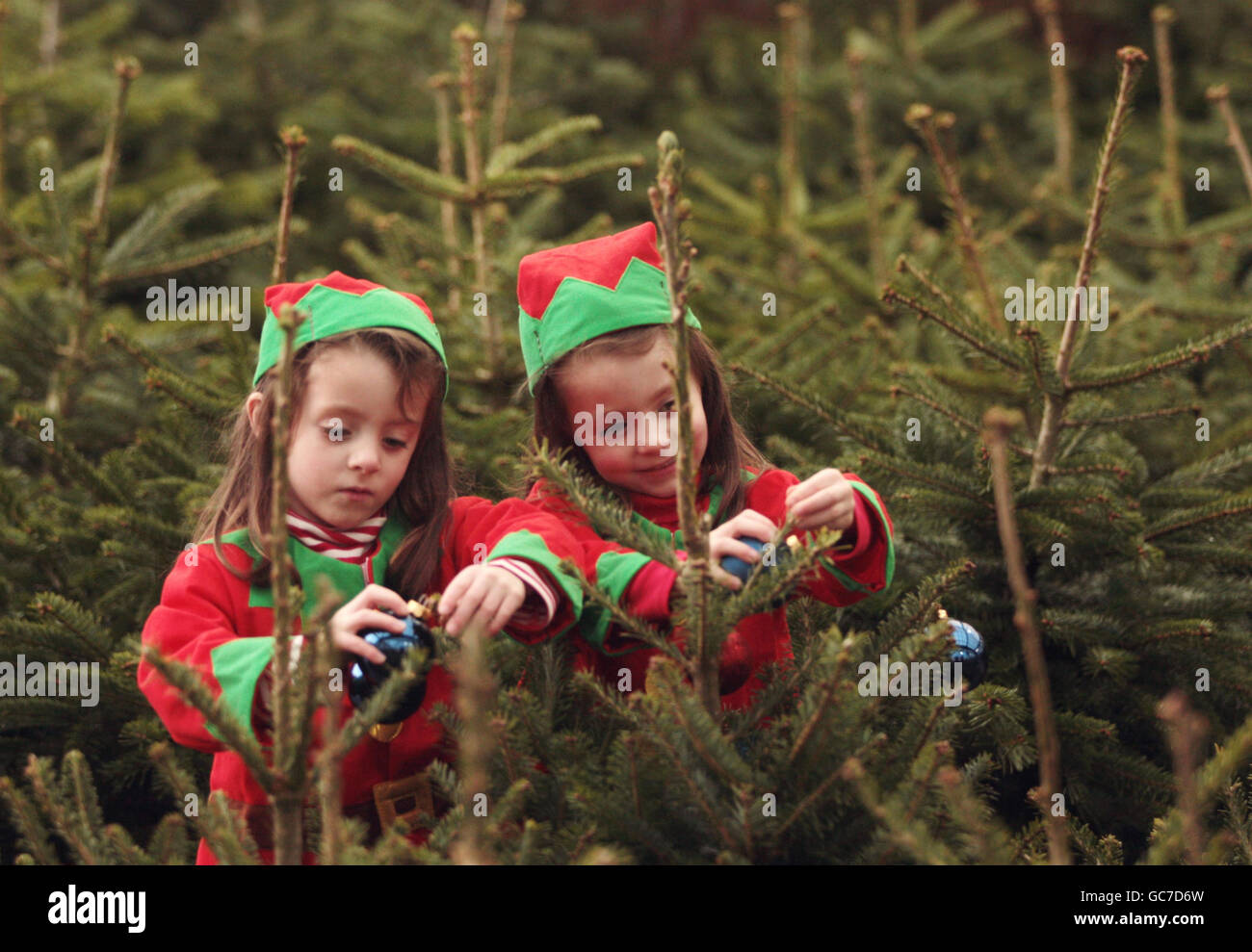 Ellie (left) and Erin Leckie help as Santa goes green at Dobbies Garden ...