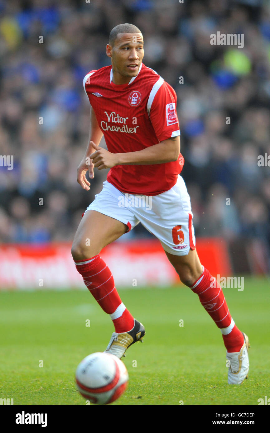 Kelvin wilson forest hi-res stock photography and images - Alamy