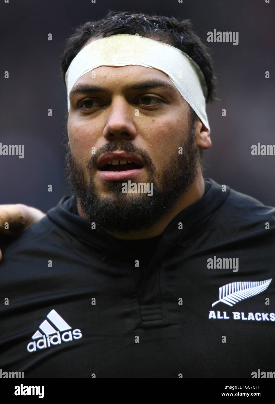 Rugby player players headshot head shot portrait hi-res stock ...